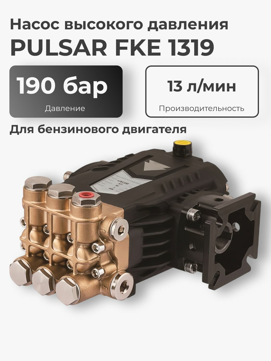 Насос высокого давления для мойки Pulsar FKE 1319