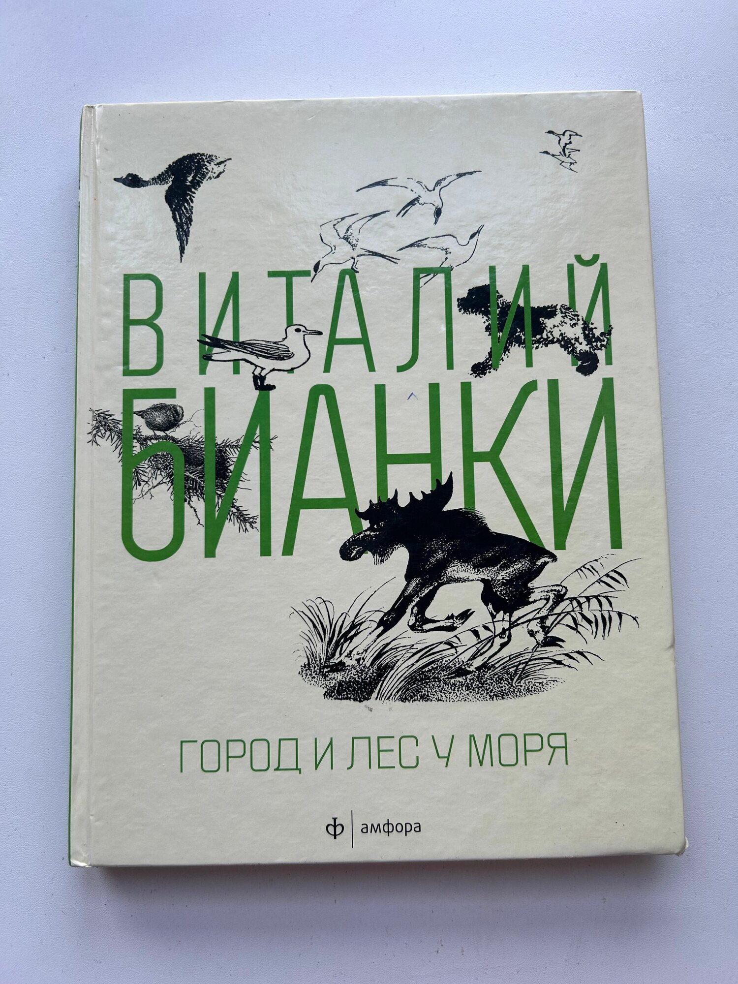 Книга Город и лес у моря. Издание 2013 года (second-hand книга)