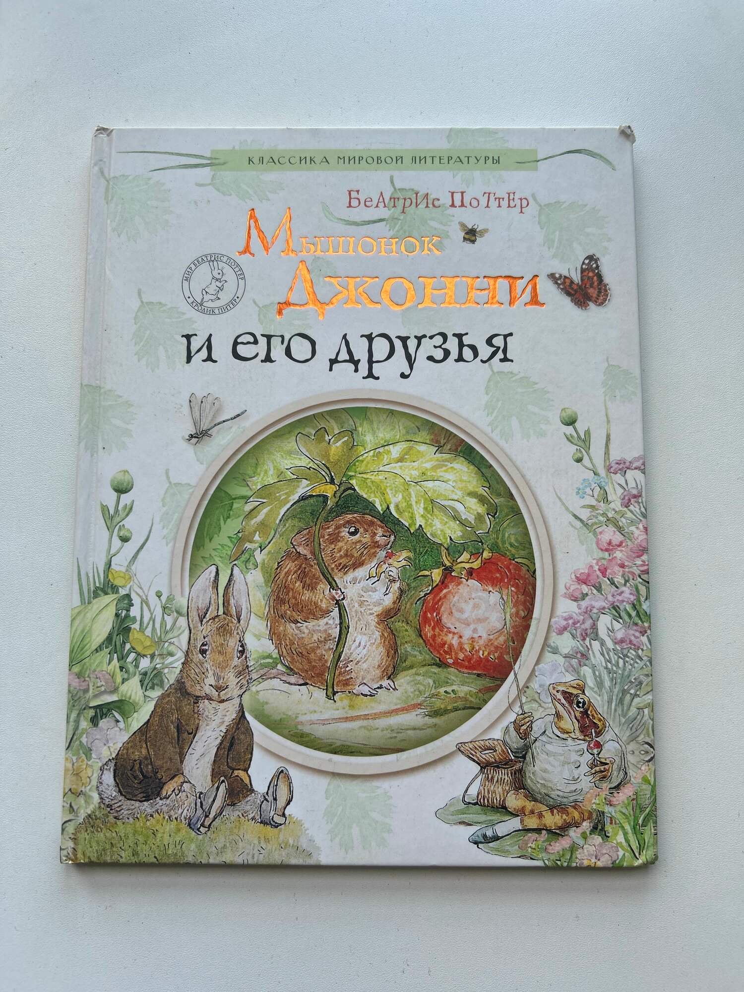 Книга Мышонок Джонни и его друзья. Иллюстрации автора. Издание 2011 года (second-hand книга)