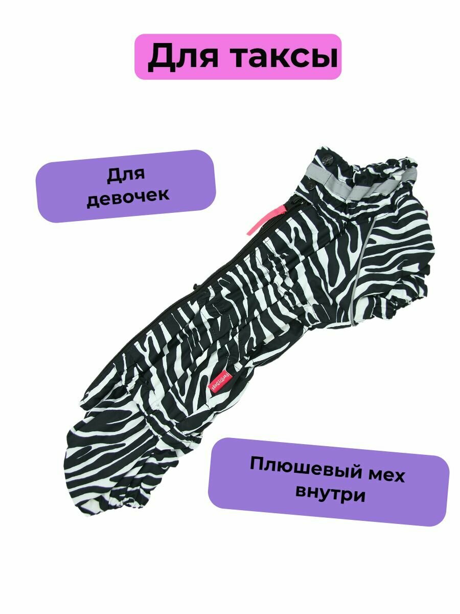 Утепленный комбинезон для собак породы таксы на меху (для девочек)
