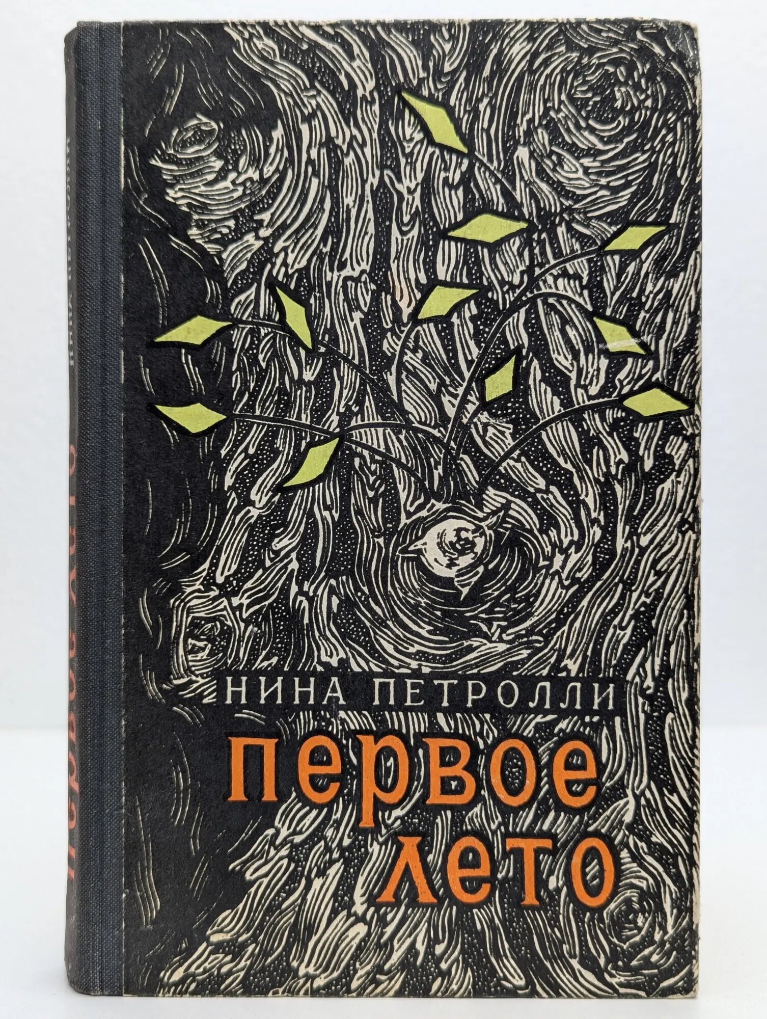 Первое лето Петролли Нина Петровна 1975