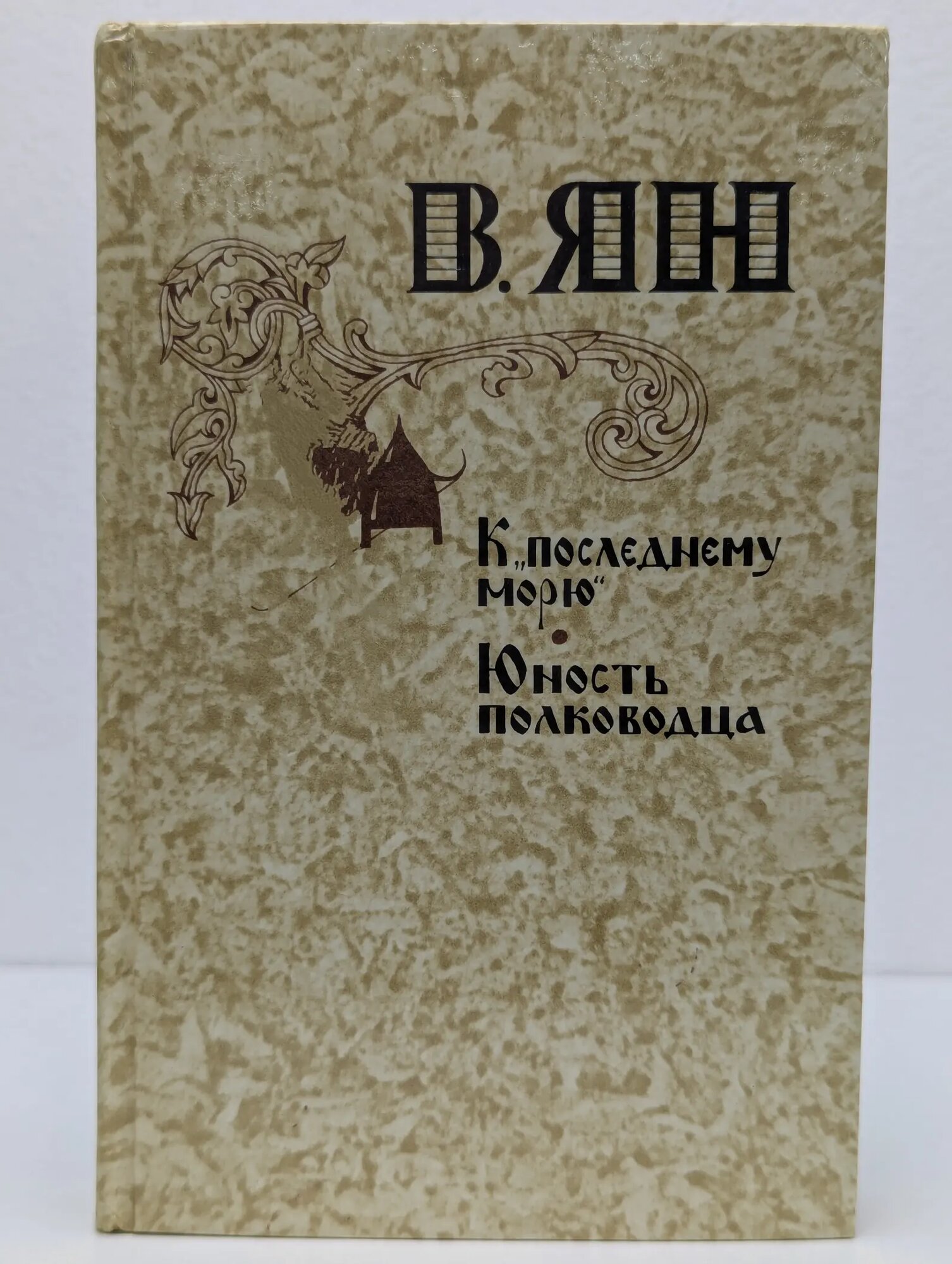К последнему морю. Юность полководца Ян Василий Георгиевич 1981