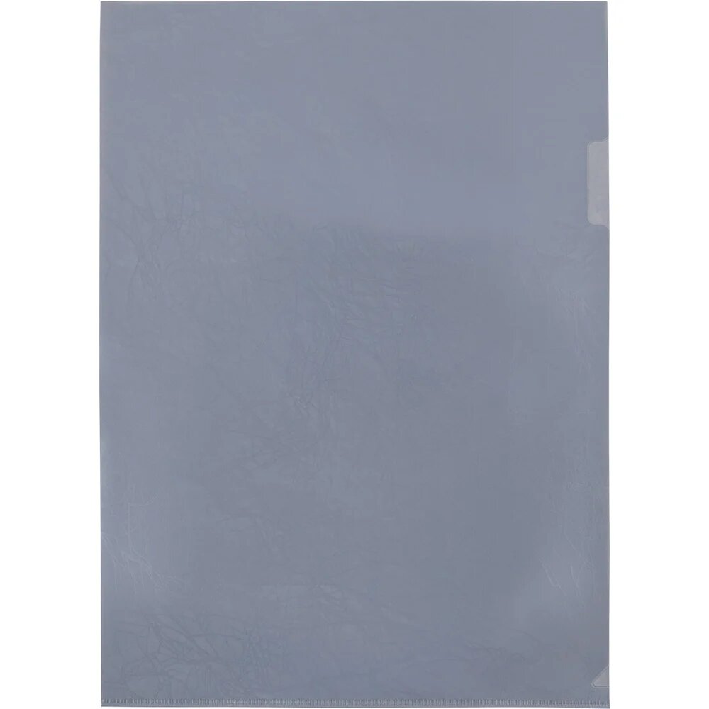 Папка-уголок Expert Complete 20 шт, A4, 180 мкм, Premier серый new, EC210300015 721031