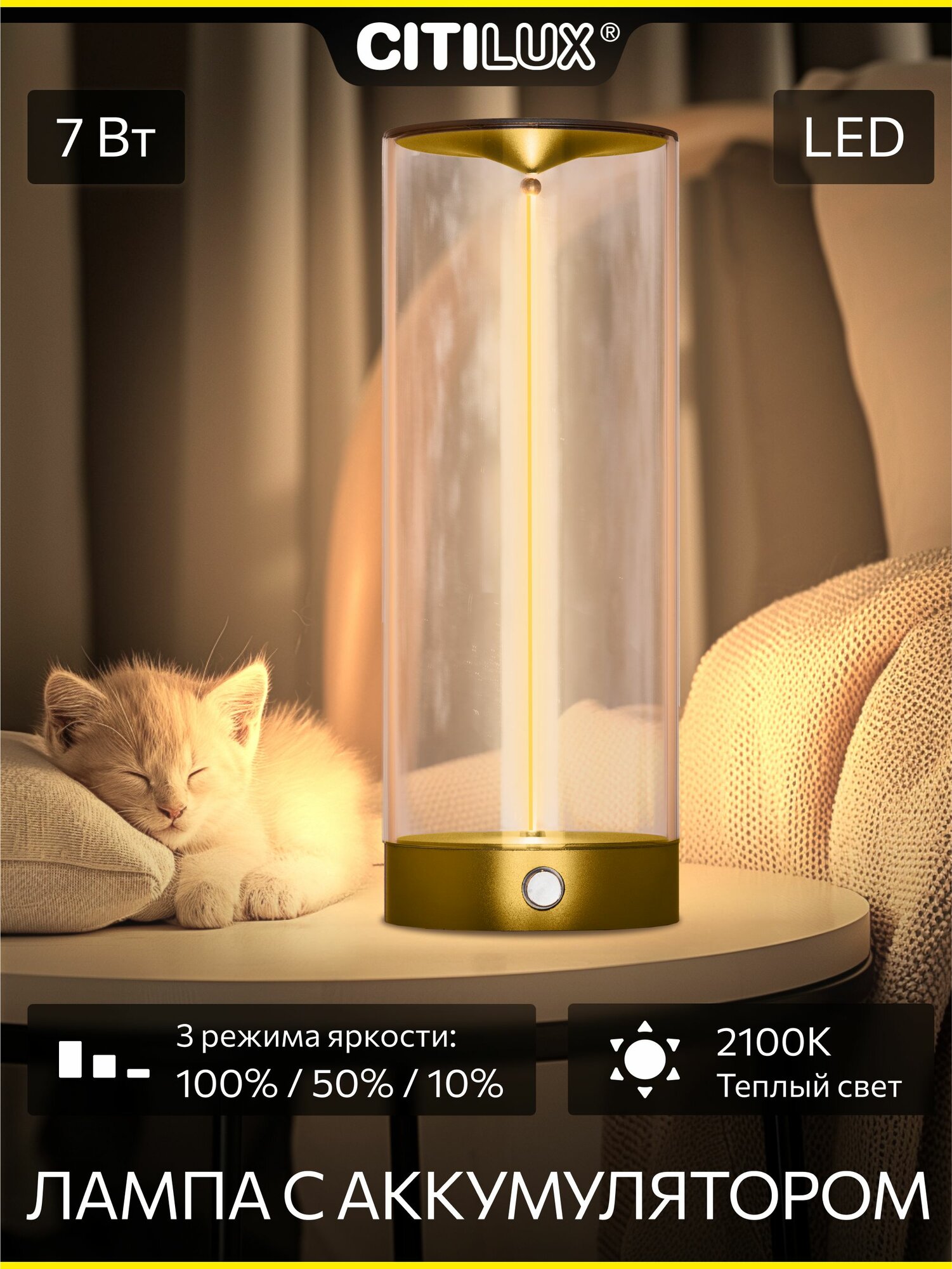 Аккумуляторная настольная лампа Citilux STRENG CL811012 LED, золото, диммер, USB-C