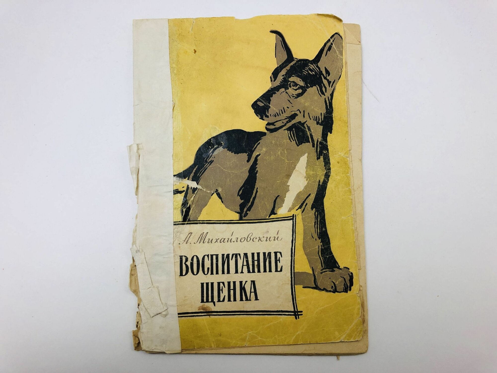 Воспитание щенка. Советы начинающему собаководу