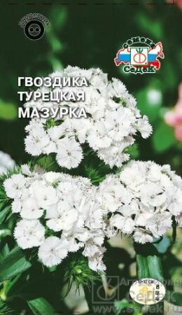 Семена Гвоздика "Мазурка" турецкая "СеДек"