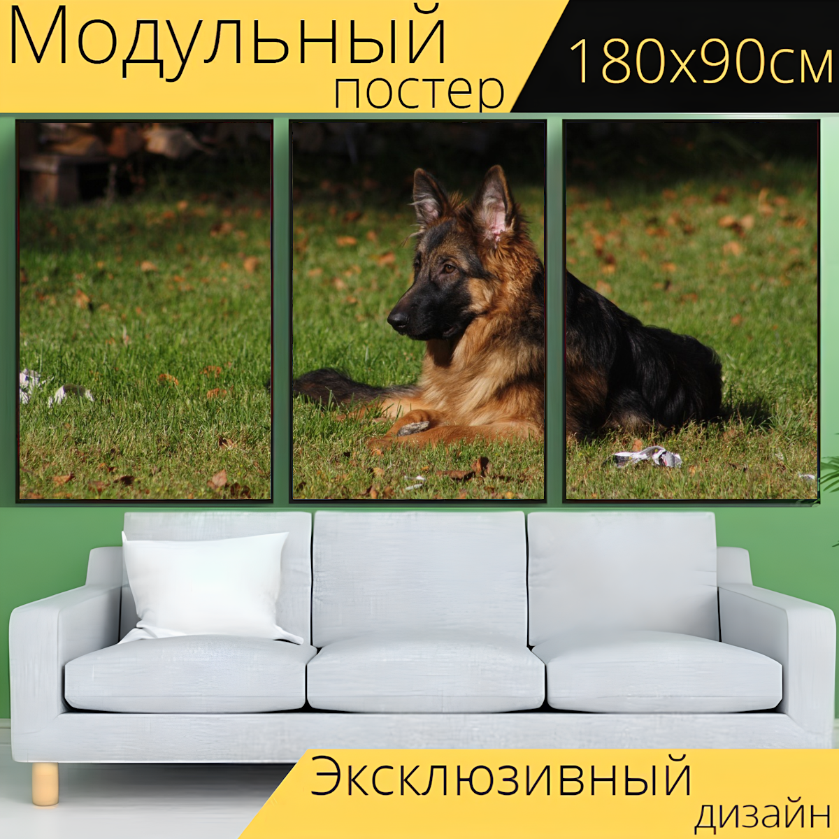 Модульный постер "Немецкая овчарка, длинношерстная немецкая овчарка, щенок" 180 x 90 см. для интерьера на стену в тубусе