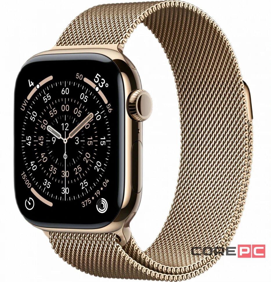 Умные часы Apple Watch Series 11 46mm Gold Titanium Case with Gold Milanese Loop (M/L)