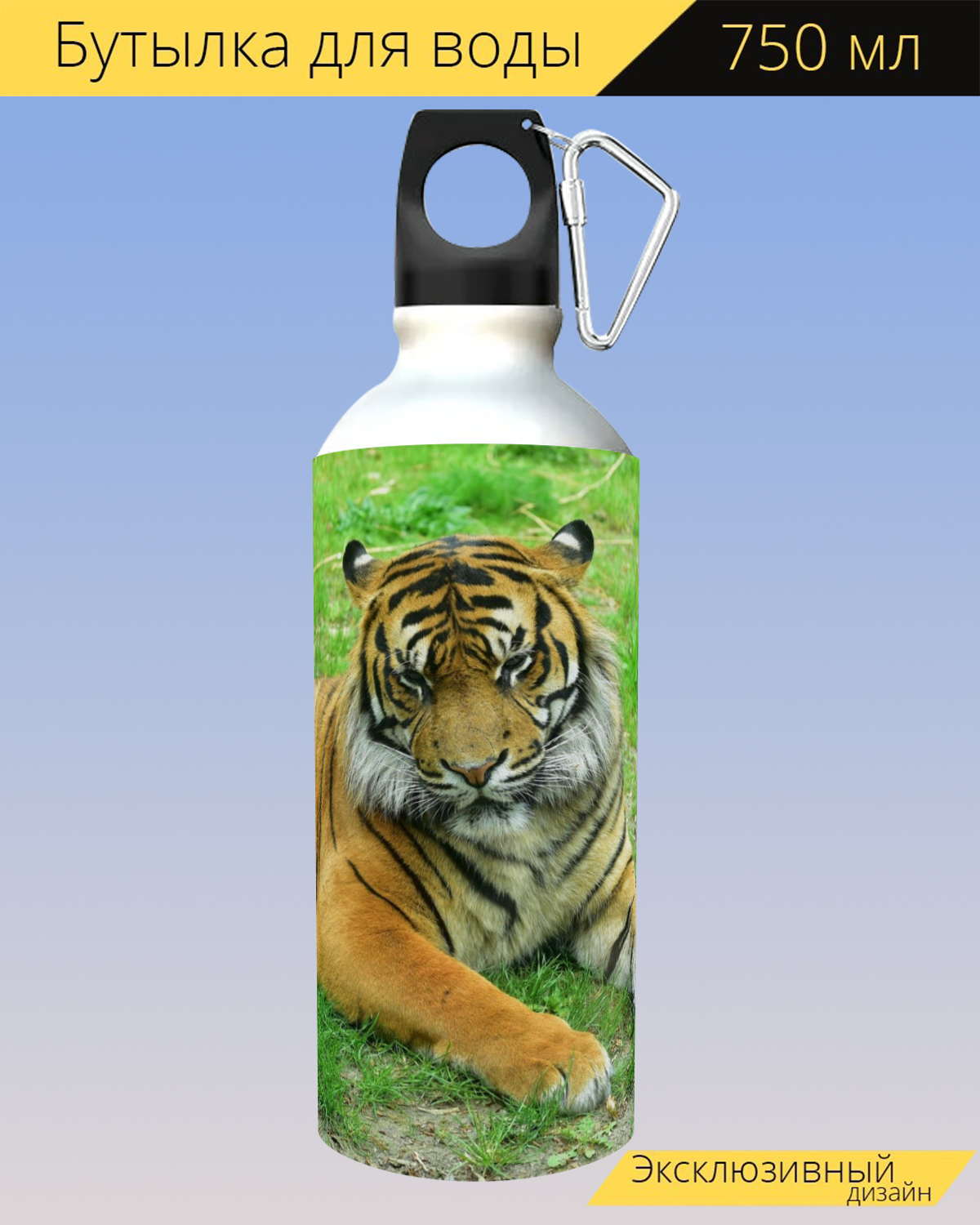 Бутылка фляга для воды "Тигр, большой кот, хищник" 750 мл. с карабином и принтом