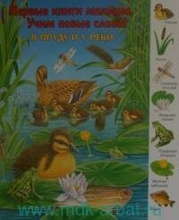 Книга "В пруду и у реки"