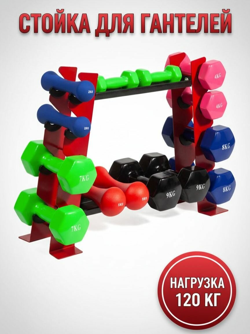 Фитнес стойка для гантелей с нагрузкой 120 кг, стеллаж для гантелей металлический