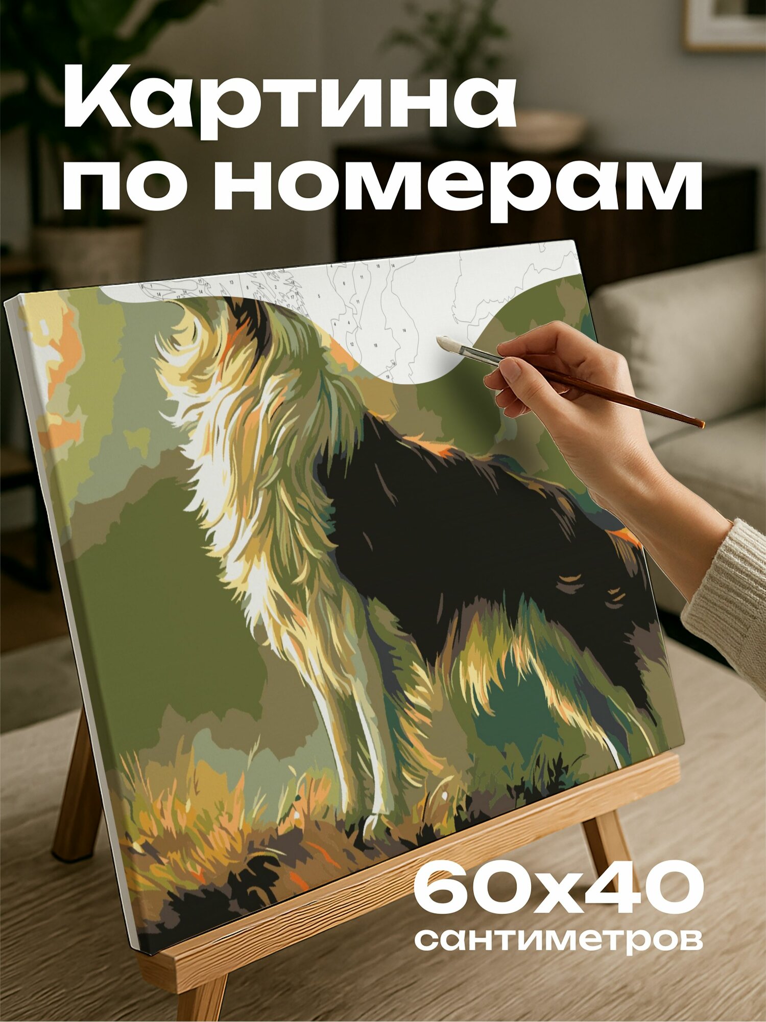 Картина по номерам 60x40 см, колли, зеленый холм, растительность, шерсть, ум, преданность, насыщенные тона, свет