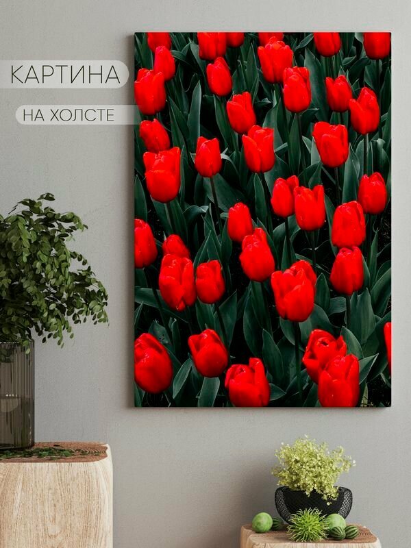 Картина на холсте красивые цветы тюльпаны (12) 20х30 см
