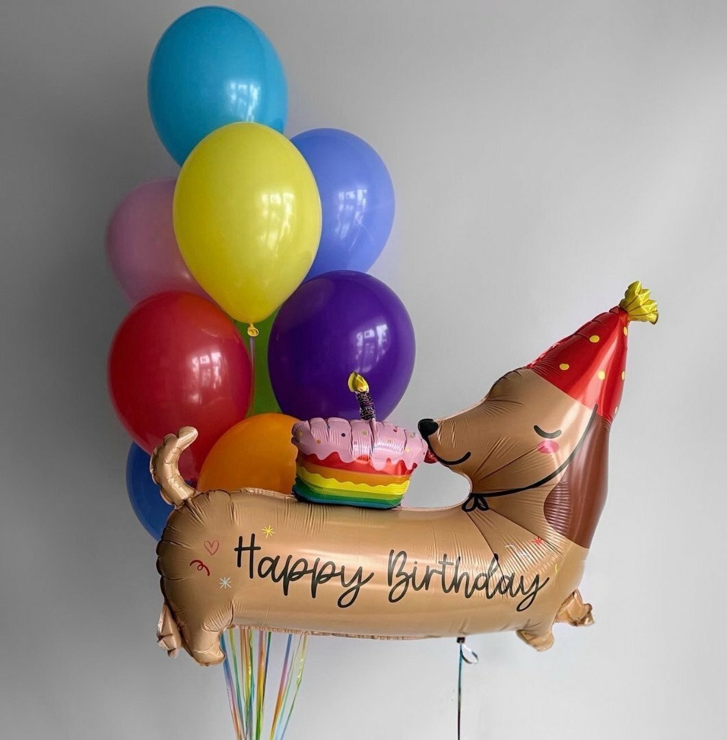 Воздушные шары с гелием «Радужная Такса»