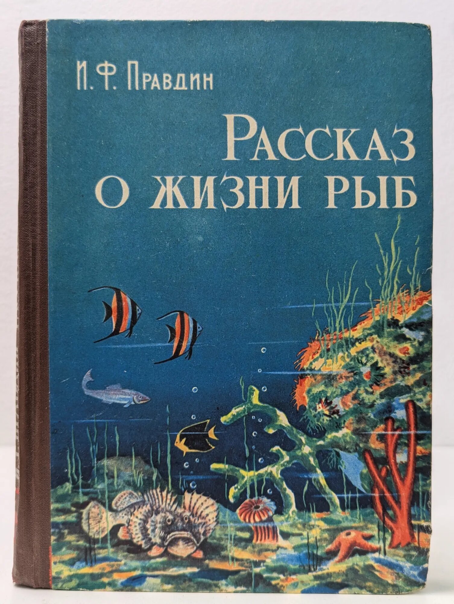 Рассказ о жизни рыб Правдин Иван Федорович 1965