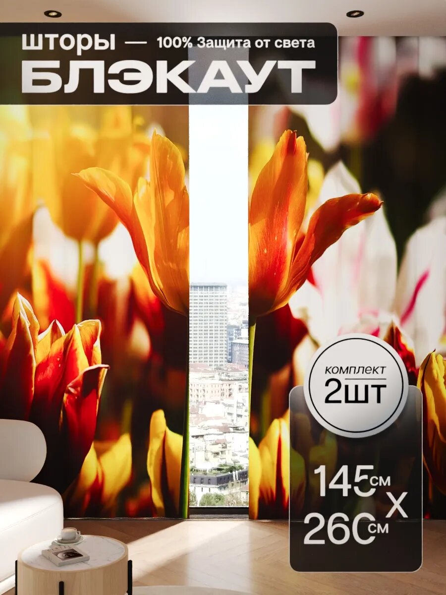 Шторы блэкаут 145x260 см 2 шт на окна плотные комплект
