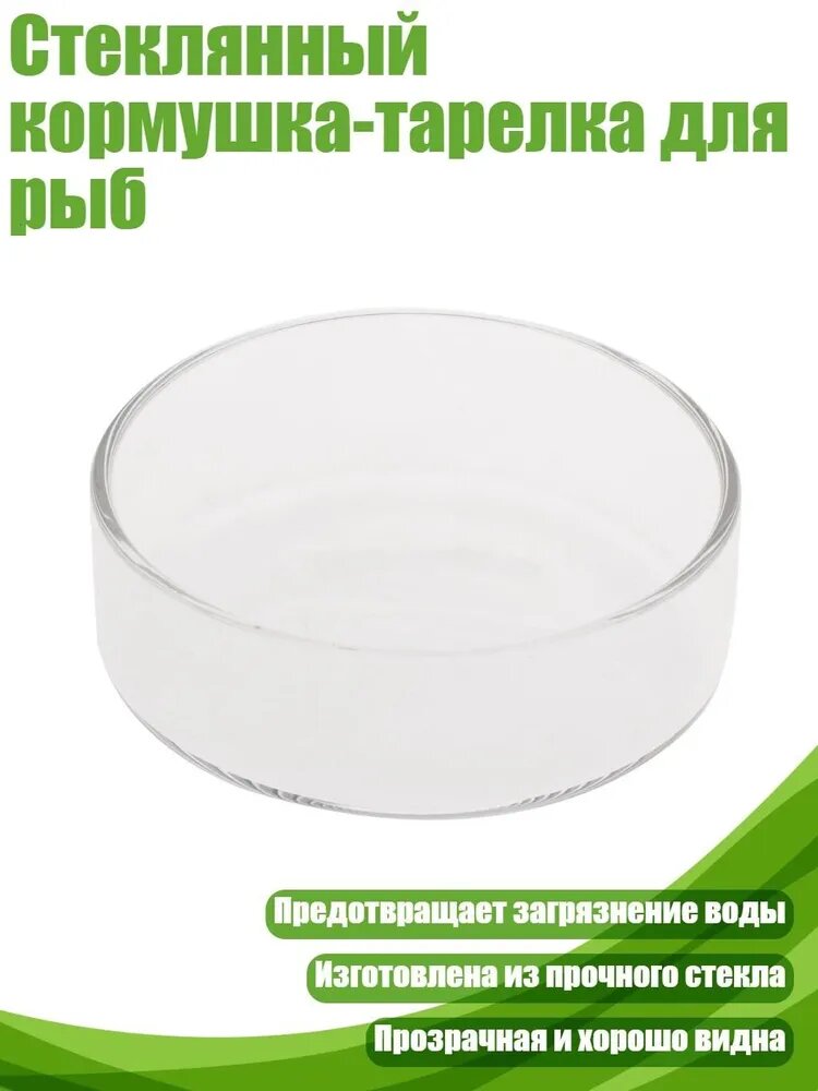 Стеклянный кормушка-тарелка для рыб, - XS