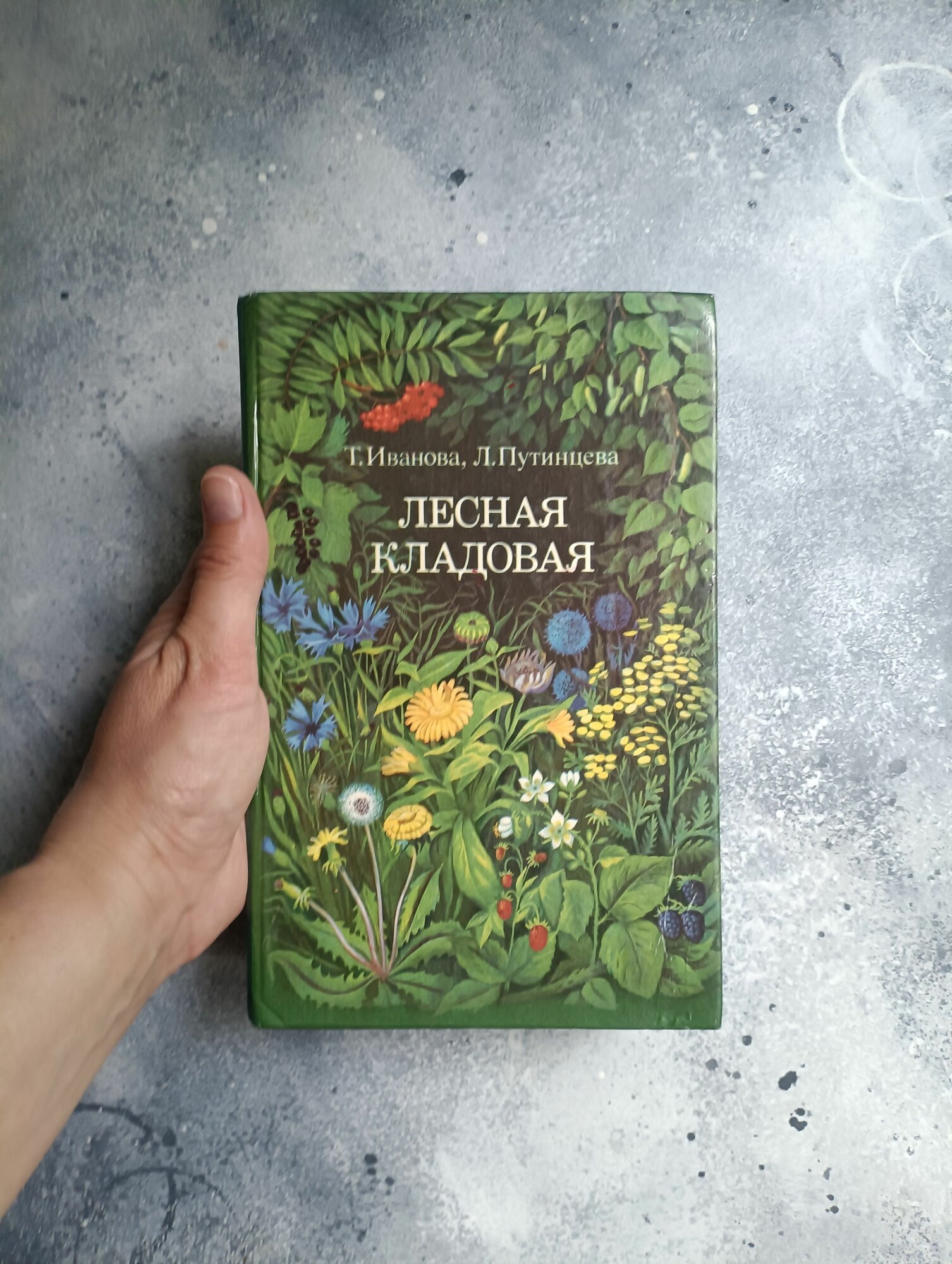 Лесная кладовая / Т. Иванова, Л. Путинцева / 1993 г.