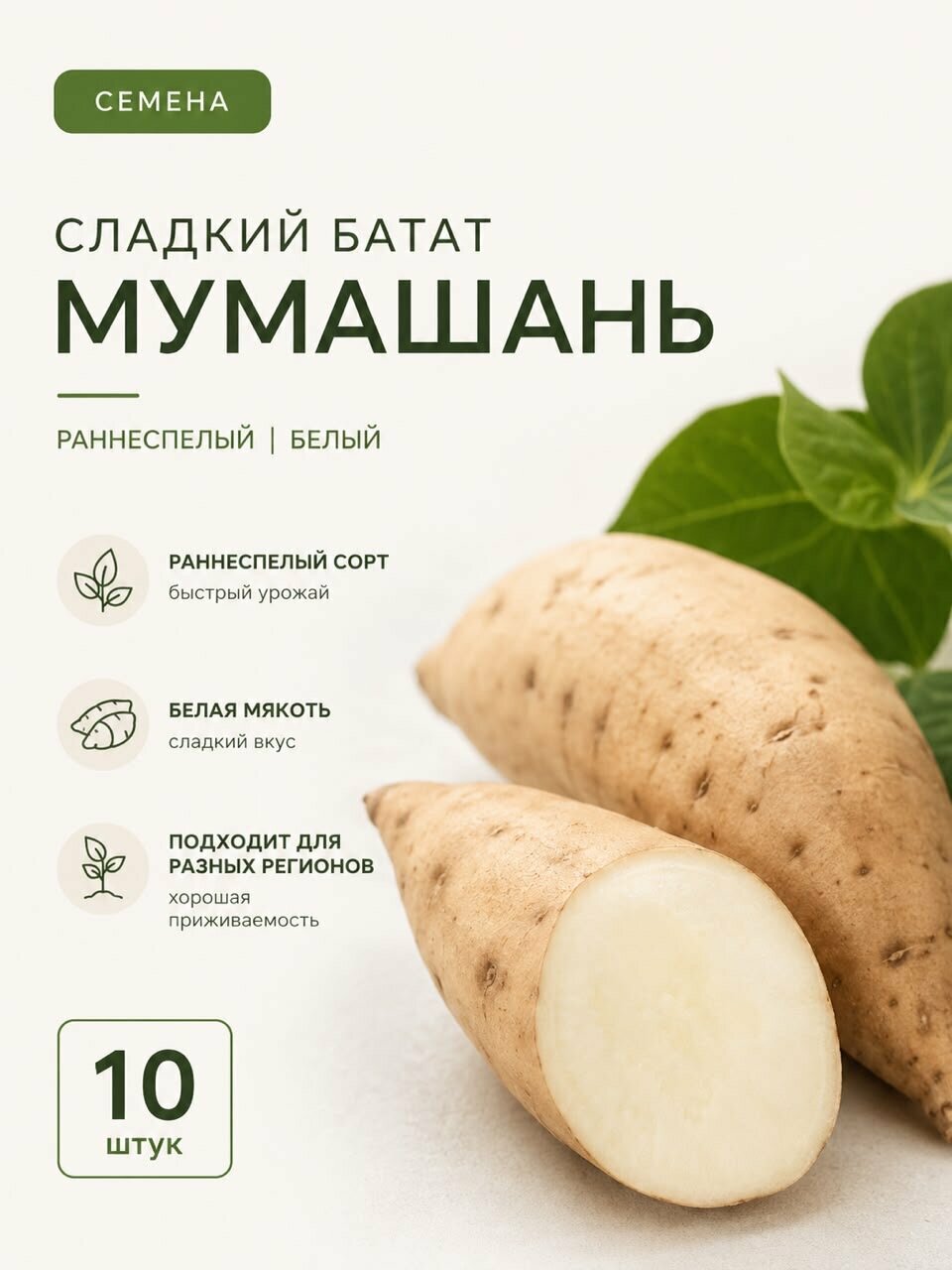 Семена сладкого батата Мумашань раннеспелого белого, 10 шт.