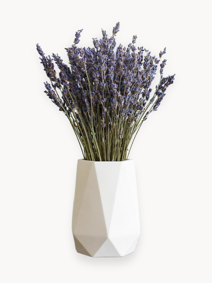 Букет Крымской Лаванды в кашпо