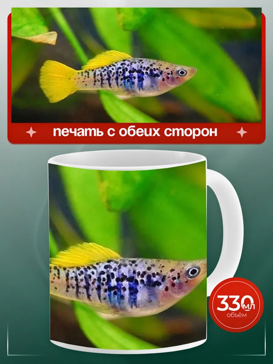 Кружка Пецилия рыба 14,