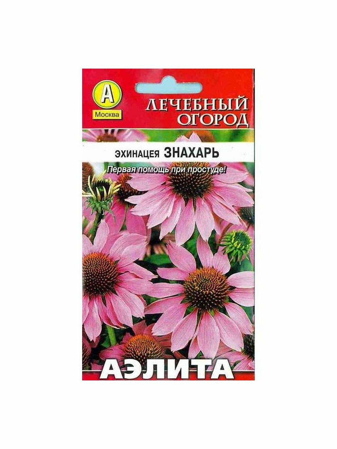 Семена Эхинацея пурпурная Знахарь, многолетние, Аэлита, 1 пачка - 0.3г семян