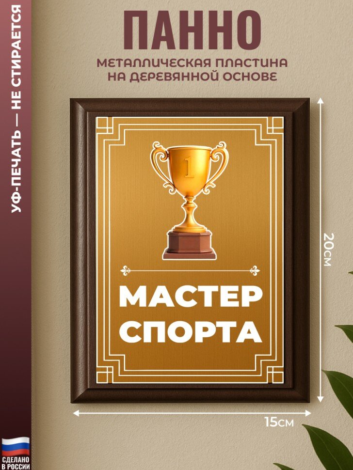 Настенный диплом "Мастер спорта"
