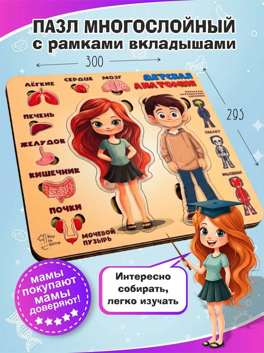 Обучающая развивающая деревянная модульная игрушка пазл анатомия строение тела для детей