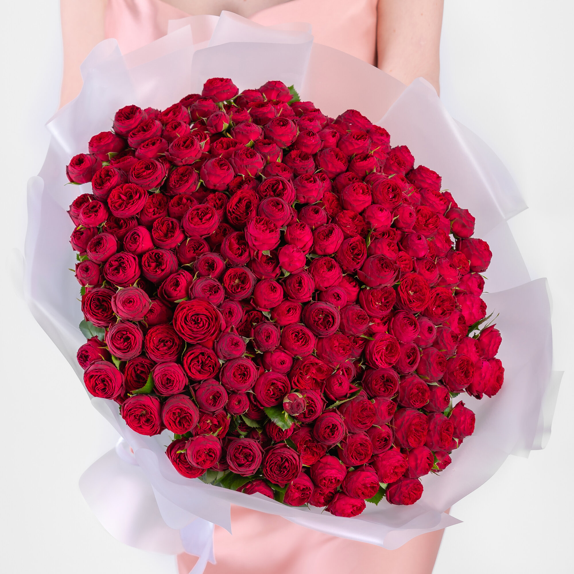 Букет Мегацвет24 "Марун", 101 кустовая пионовидная роза, высота 40см, сборка в дизайнерскую упаковку