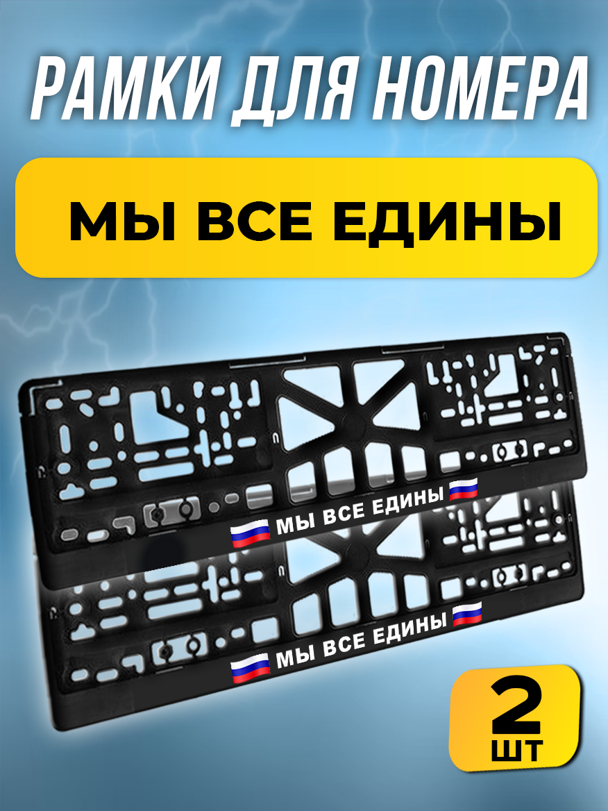 Рамки номерные "МЫ ВСЕ едины" комплект 2 штуки / Автомобильные номерные рамки для номеров с надписью