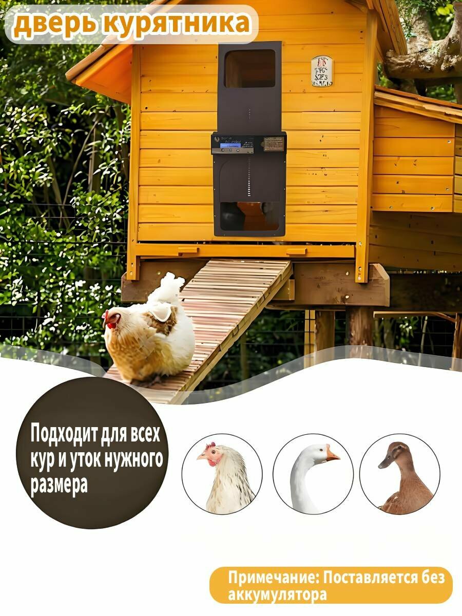 Дверь курятника автоматическая, водонепроницаемая, со светодиодным экраном, IP45, алюминиевая, батарейная