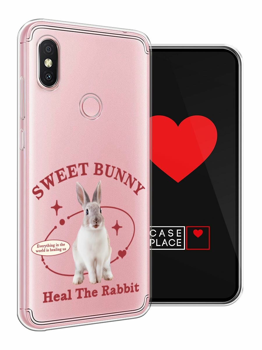 Чехол на Xiaomi Redmi S2 (Redmi Y2) / Сяоми Редми С2 (Редми Y2) с принтом "Heal the rabbit", прозрачный — фото 1