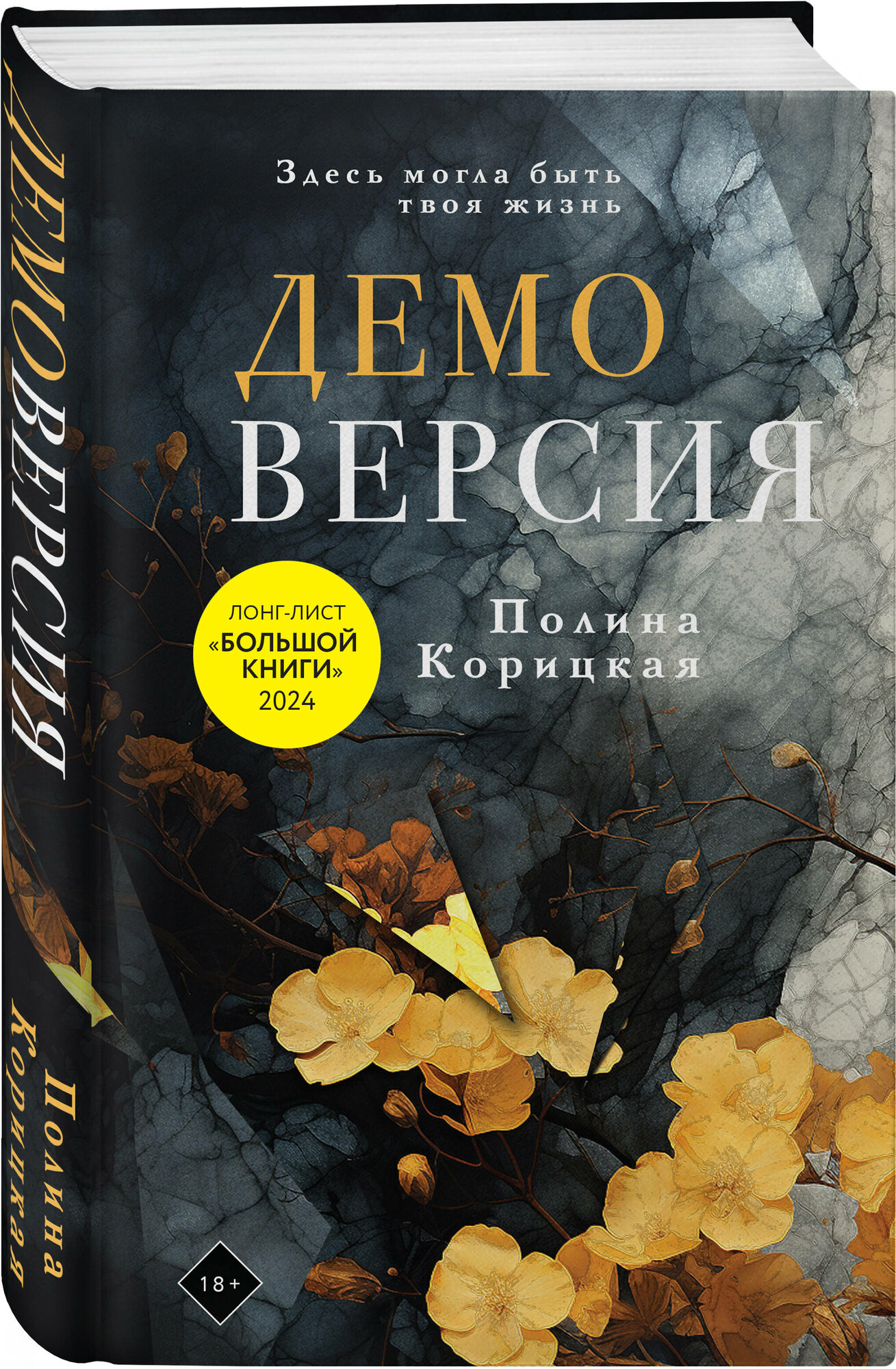 Корицкая П. Н. Демоверсия