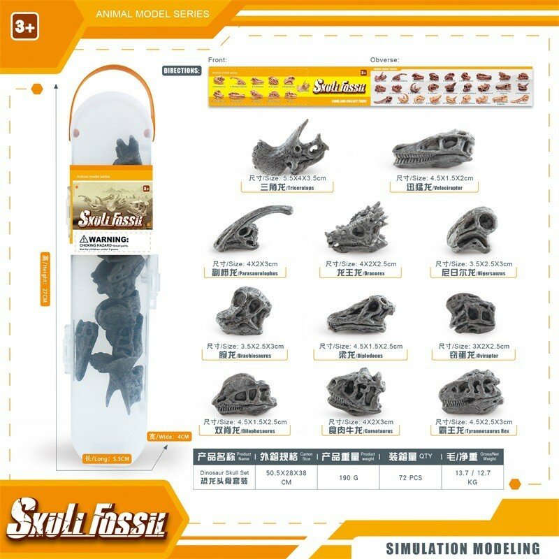 Фигурки мини-черепов динозавров высокого качества для образования и домашнего декора, Стиль C