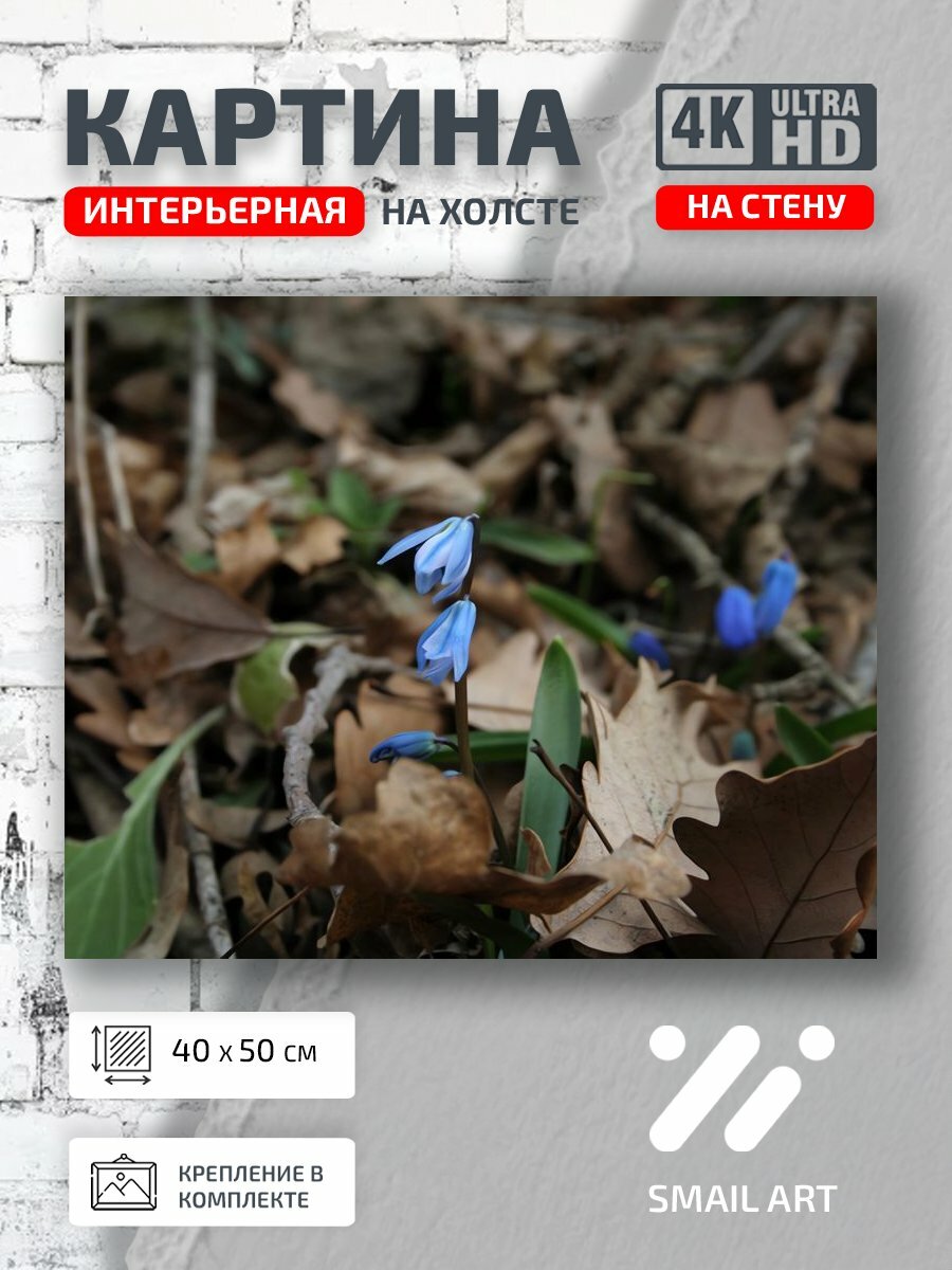 Картина на холсте интерьерная 40 на 50 на стену Весна Landscape для кафе пейзаж интерьер