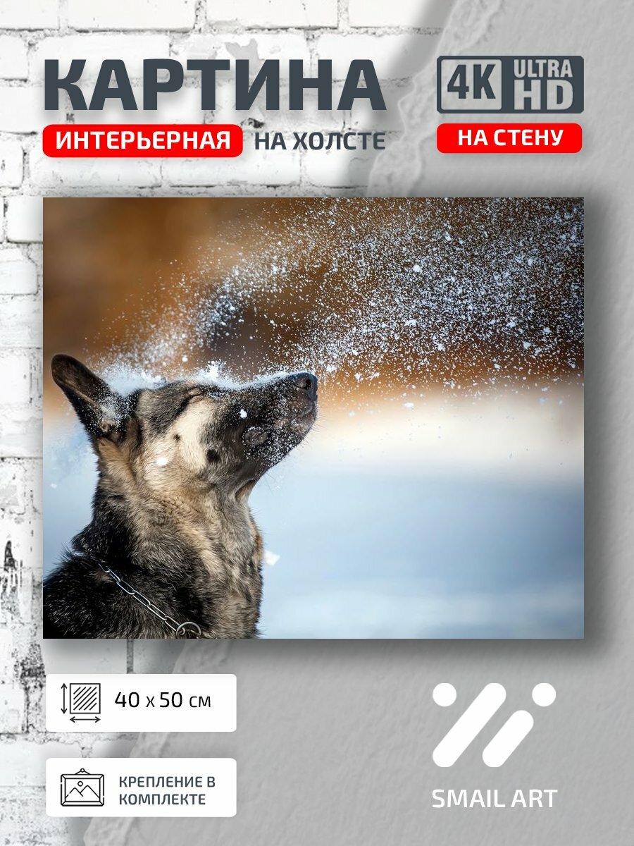 Картина на холсте интерьерная 40 на 50 на стену Овчарка Mood для гостиной атмосфера декор