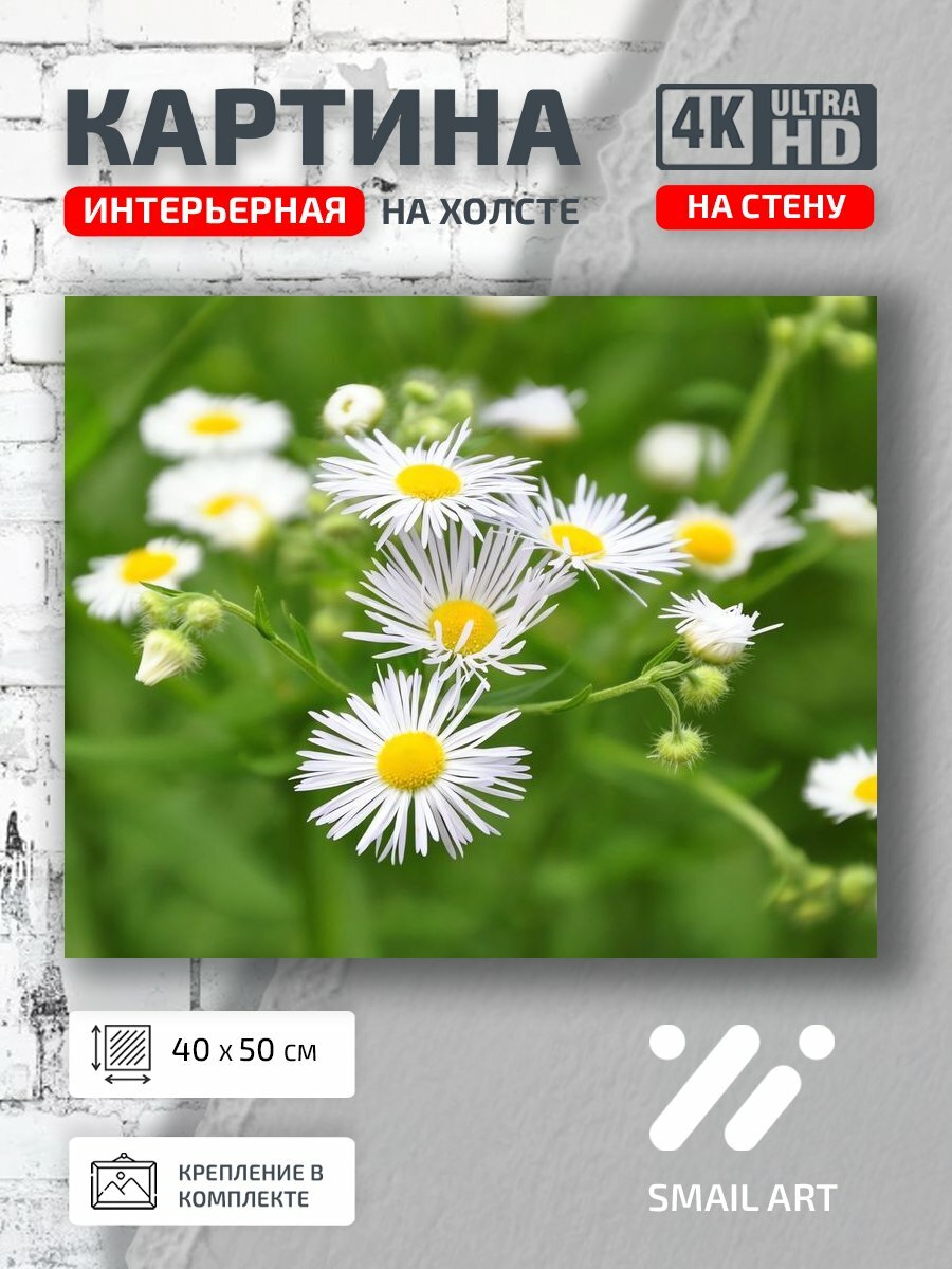 Картина на холсте интерьерная 40 на 50 на стену Ромашки Landscape для спальни пейзаж декор