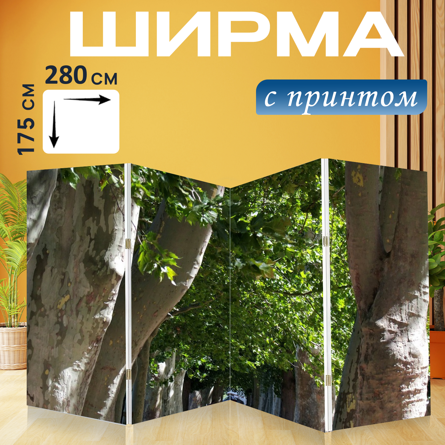 Ширма "Дорога, деревья, платан" перегородка для зонирования комнаты с принтом 280x175 см. на холсте