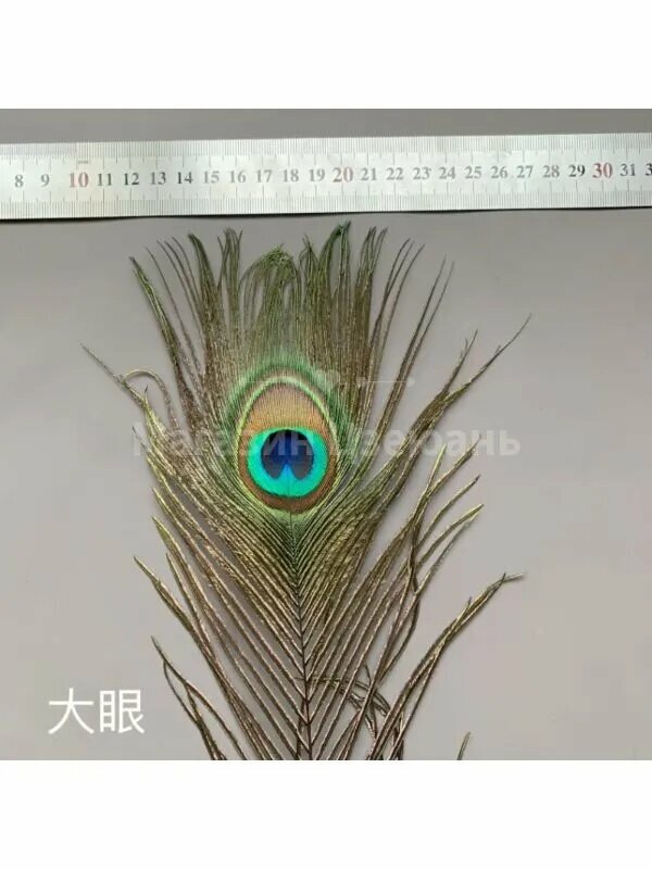 KNOW EASY-Натуральный мех павлина