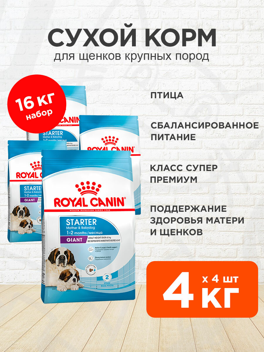 Корм сухой Royal Canin Giant Starter для щенков крупных пород до 2 месяцев, беременных и кормящих собак, 4 кг х 4 шт