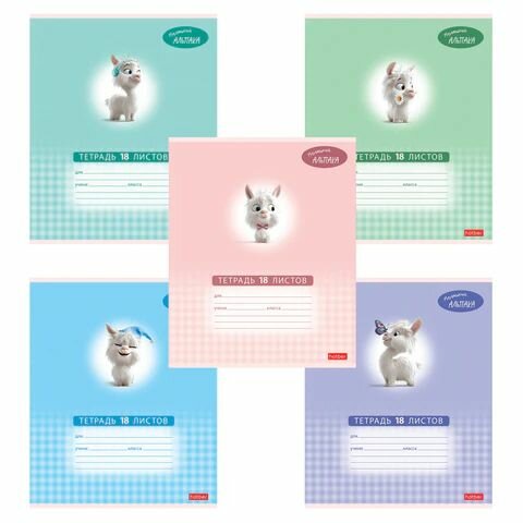 60 шт. Тетрадь 18 л, HATBER клетка, обложка картон, "Маленький альпака" (микс в спайке), 091390, 18Т5В1