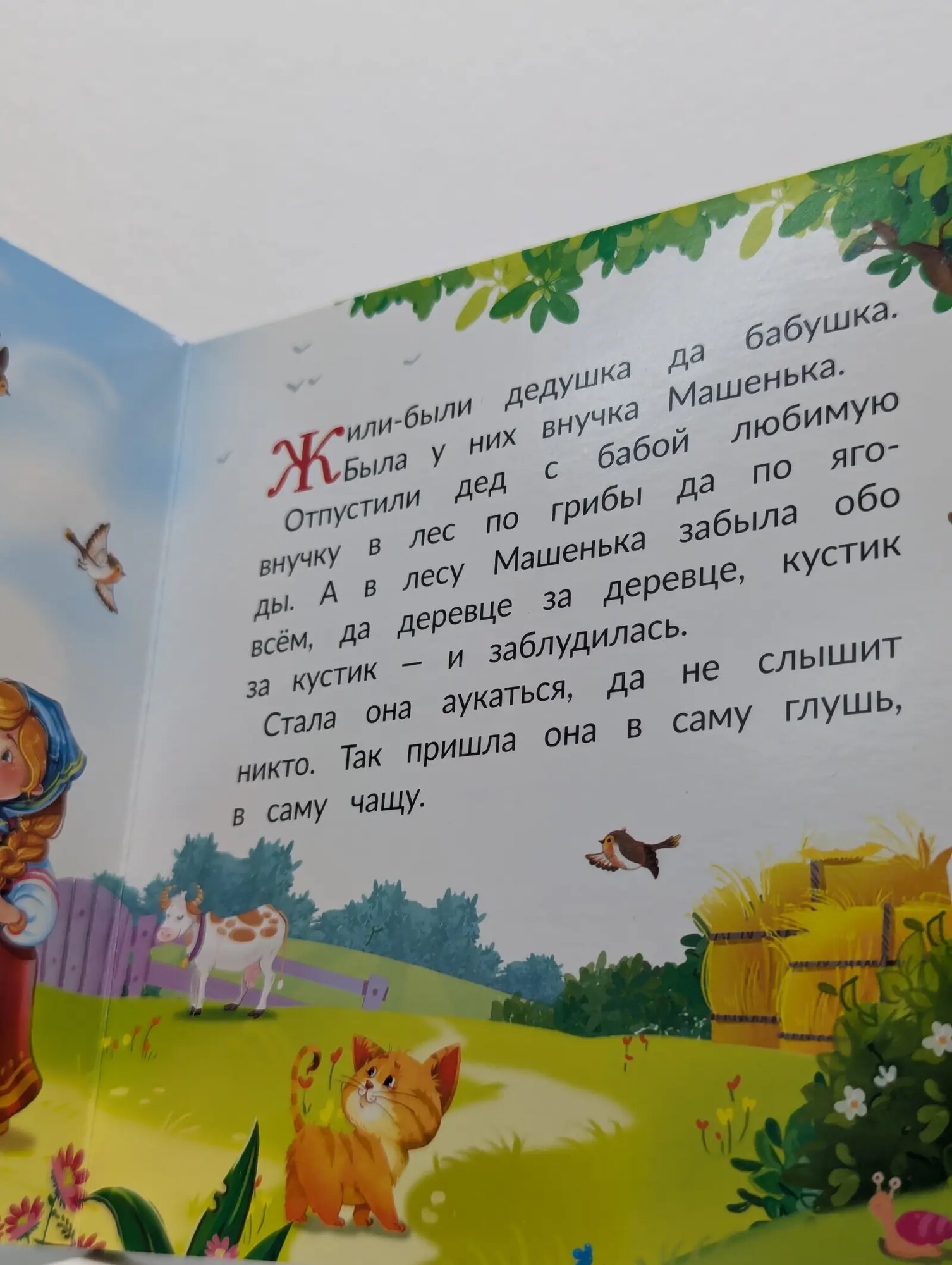 Маша и медведь 2019 — фото 1