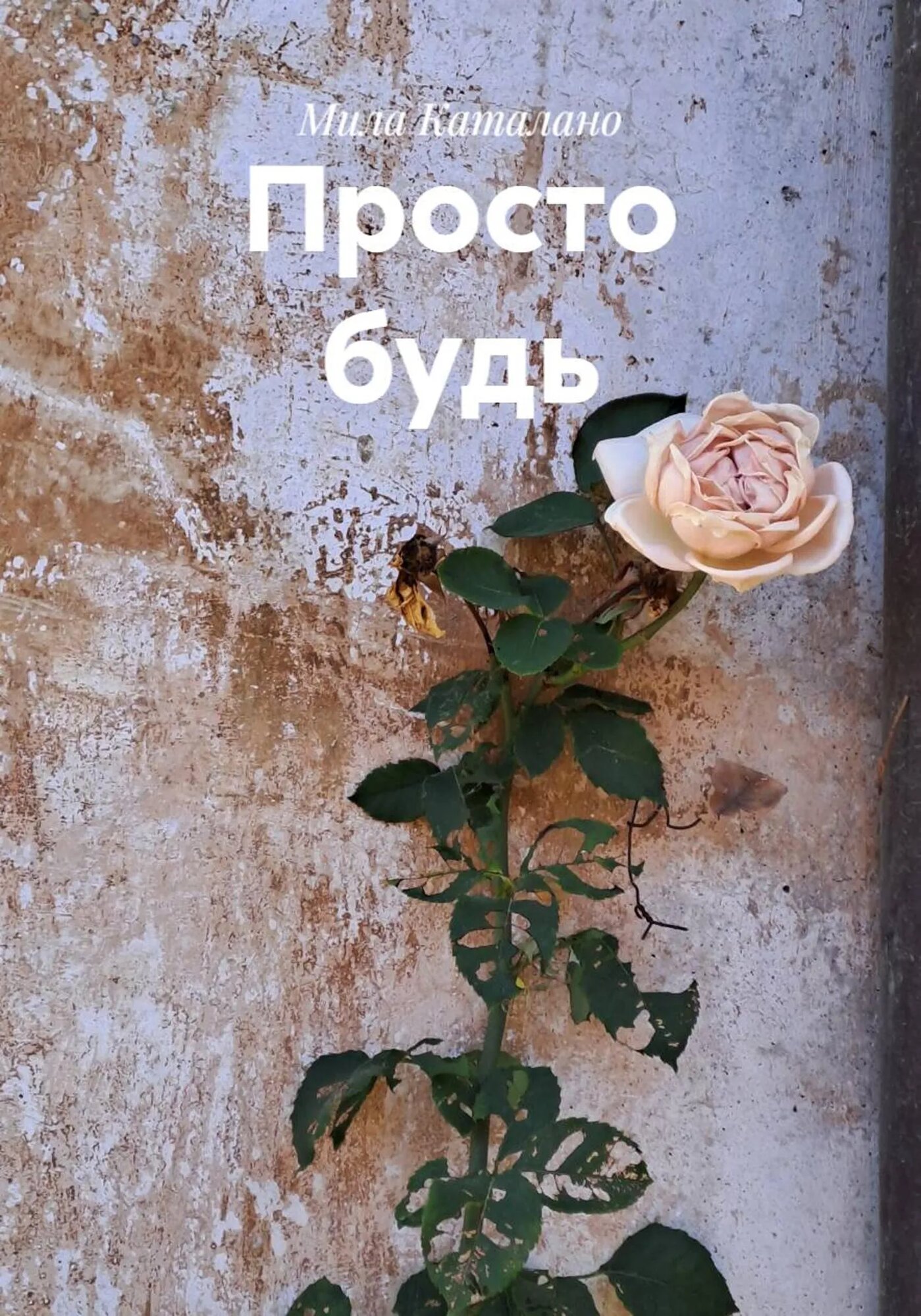 Просто будь [Цифровая книга]