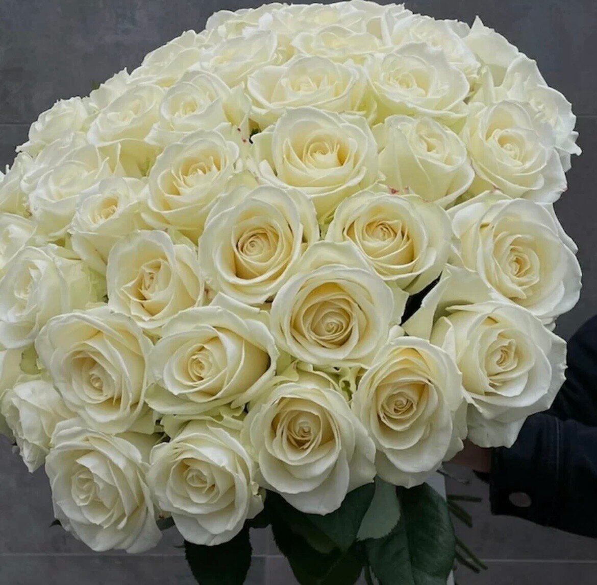 Букет из белых роз 35 шт, красивый букет цветов, шикарный, премиум цветы, премиум букет