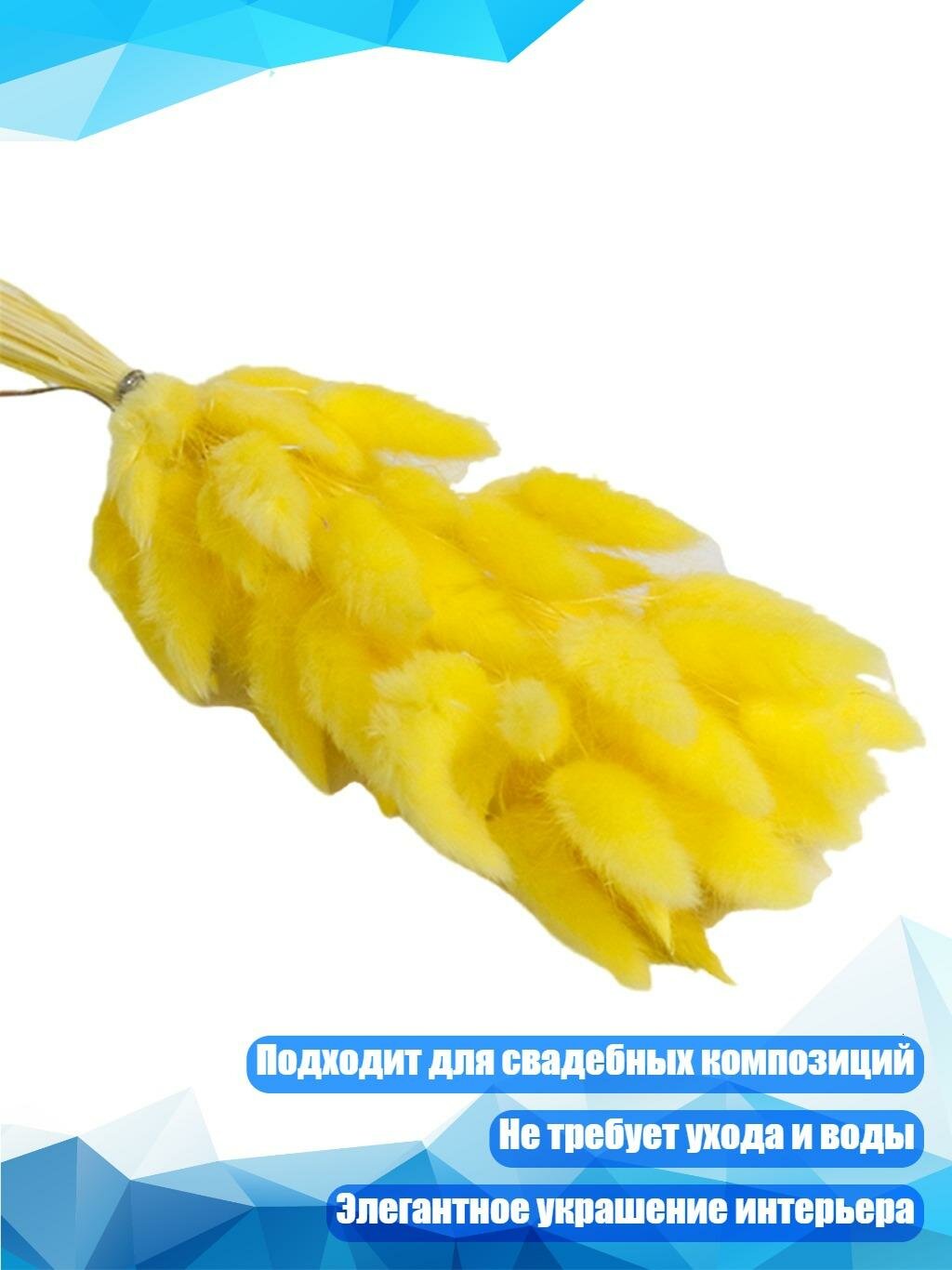 55pcs Natural Dry Pampasgrass 17,7 -дюймовый сушеные кролики цветок хвоста для домашних свадебных композиций, - Сплошной цвет 20