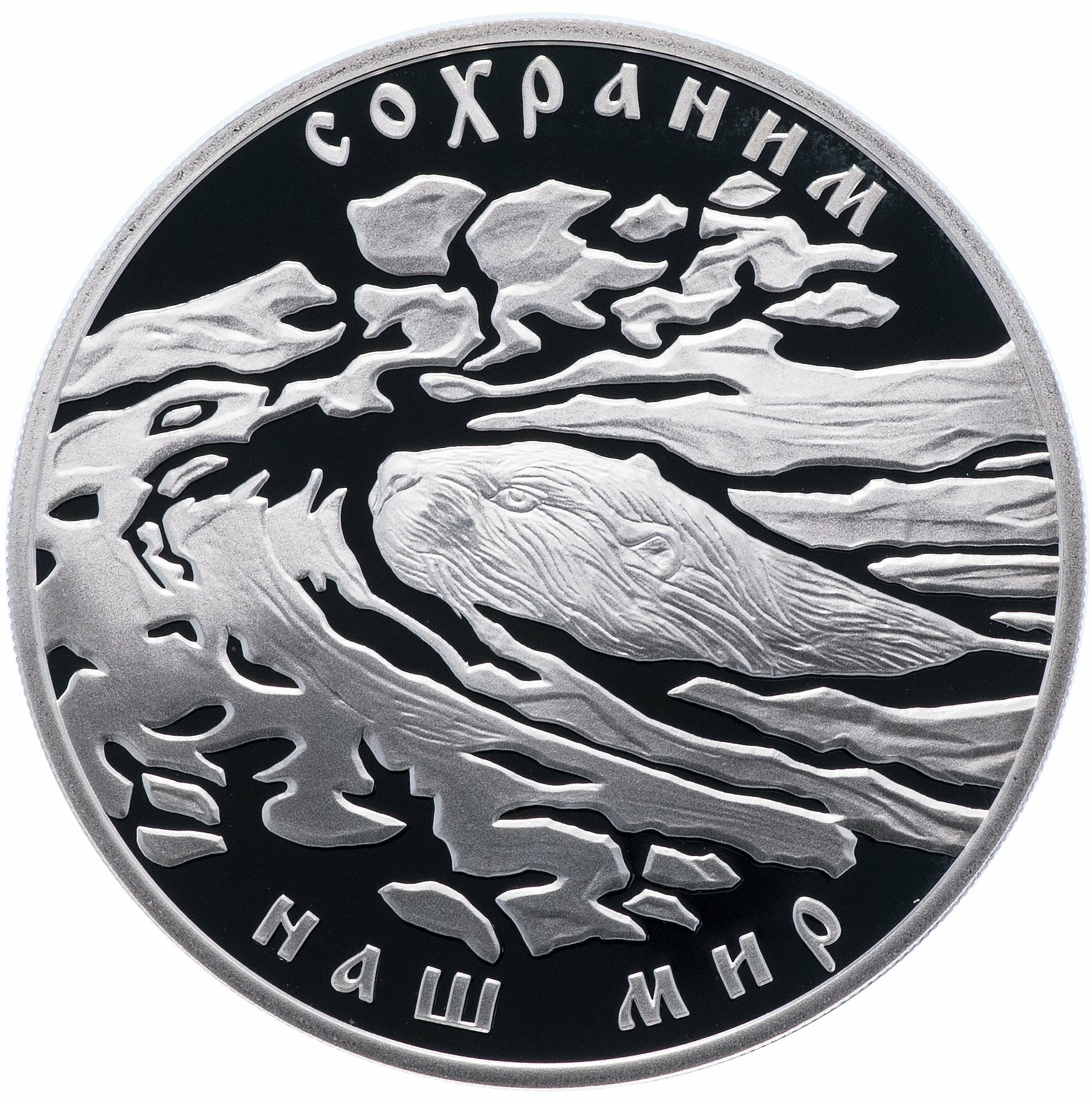 3 рубля 2008 СПМД Proof "Сохраним наш мир - речной бобр", Серебро 925