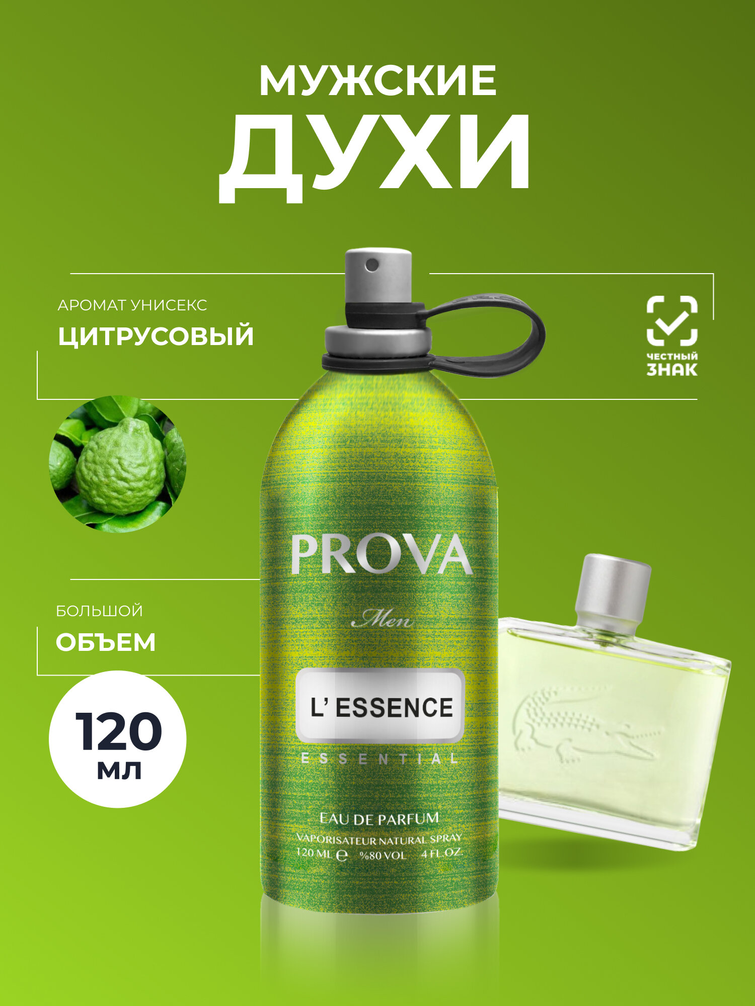 Духи Prova Essence, мужская, древесные фужерные ноты, 120 мл