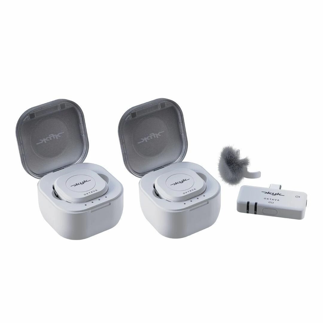 Вокальная радиосистема Октава Жук-2-Б