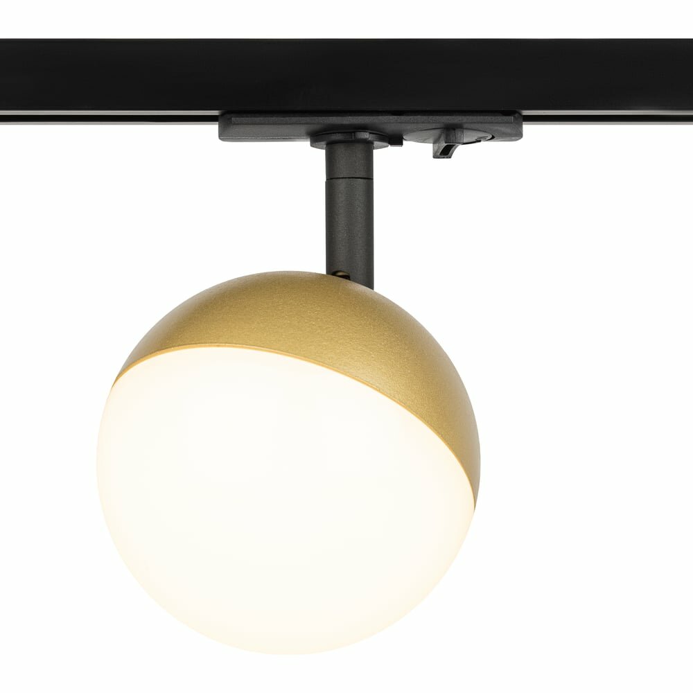 Однофазный трековый светильник ЭРА TR42GX53 MG