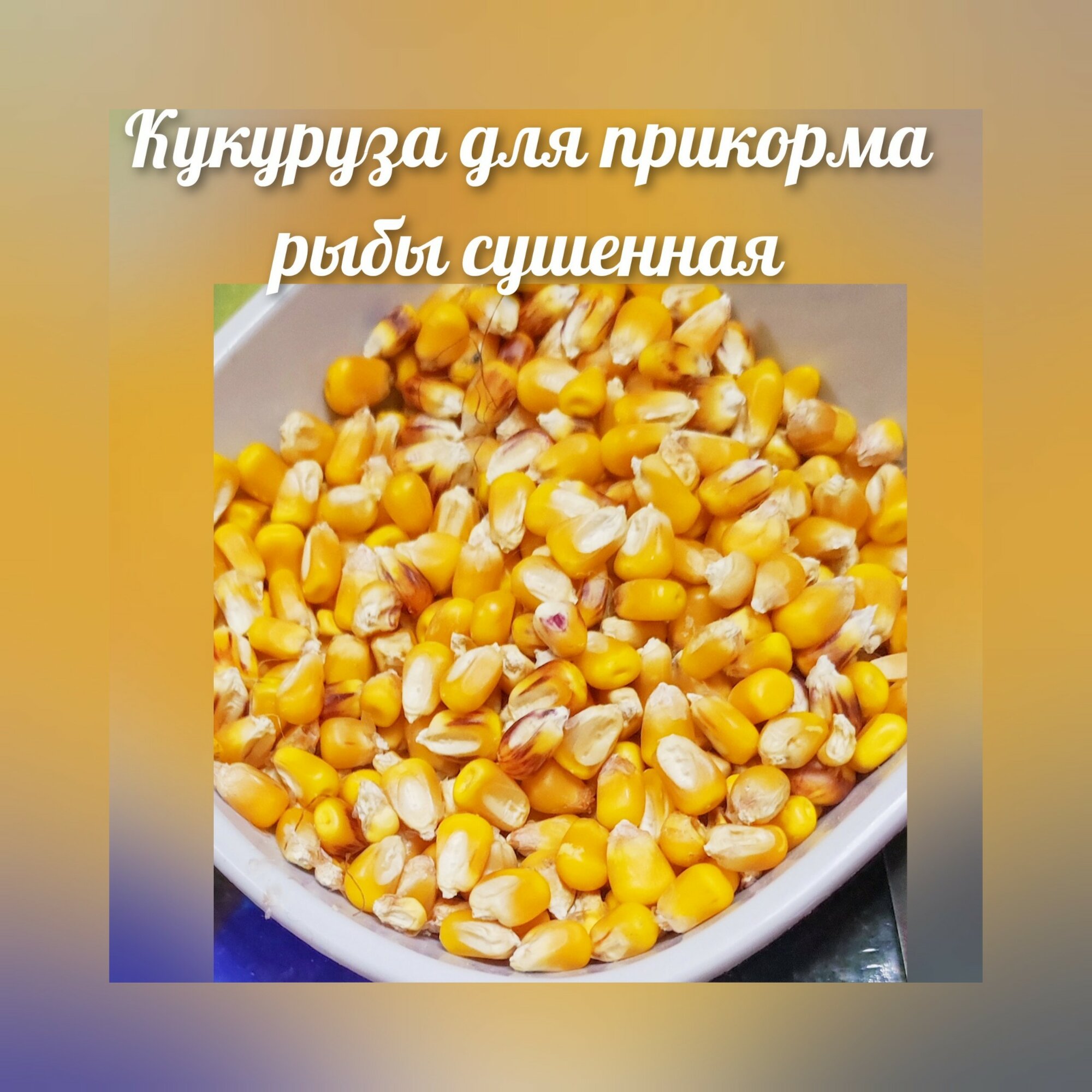 Прикорм для рыбалки Кукуруза сухая ручной обработки без пыли